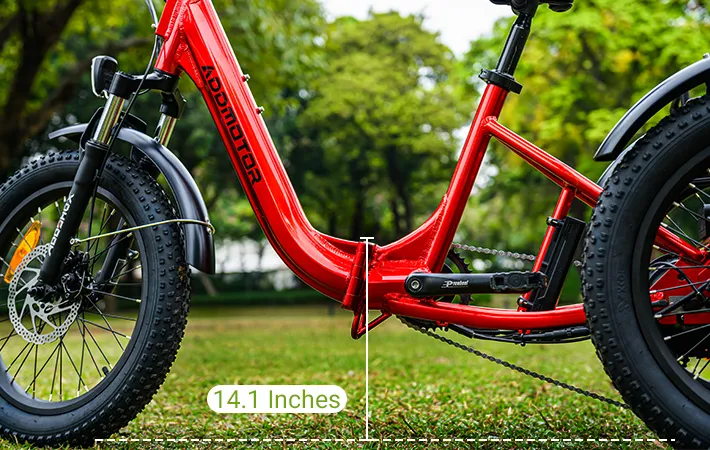 Addmotor Citytan M-315 Folding Electric Trike In-Depth Review: Choice ...